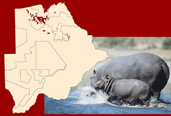 The Botswana National Atlas